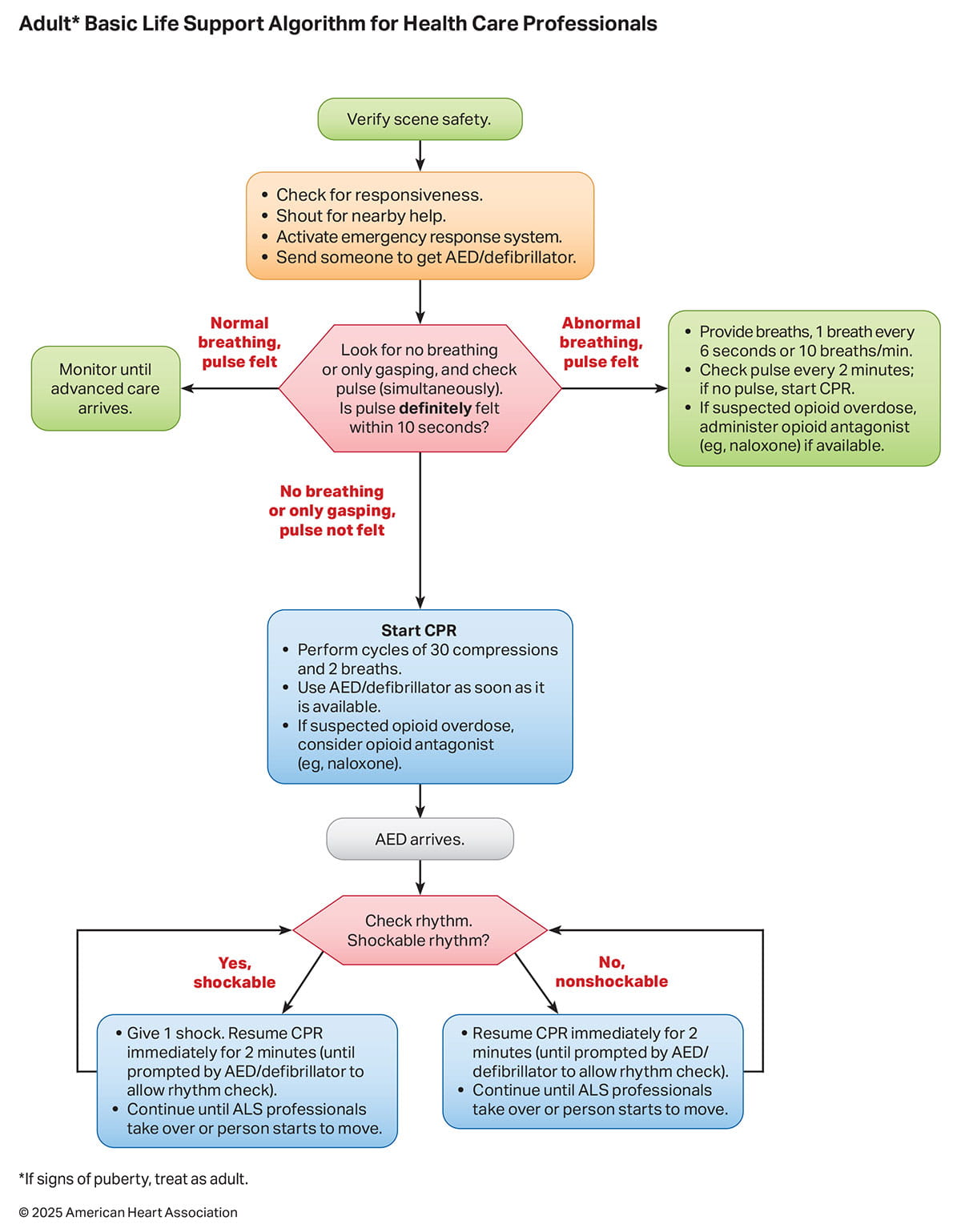 2025 Algorithms | American Heart Association CPR & First Aid