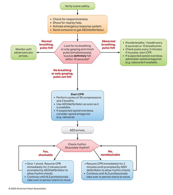 Part 10: Adult and Pediatric Special Circumstances of Resuscitation ...