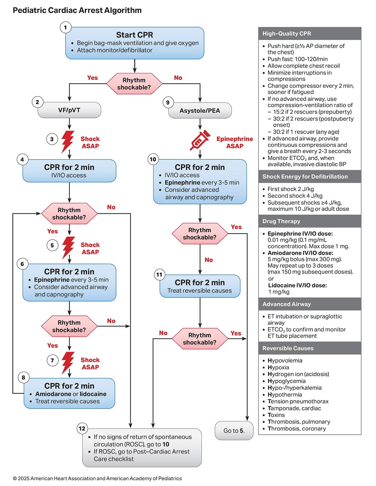 2025 Algorithms | American Heart Association CPR & First Aid